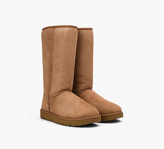 Bottes Hautes pour Femmes | Browns Shoes