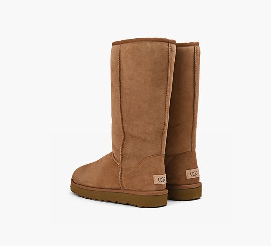 Bottes Hautes pour Femmes | Browns Shoes