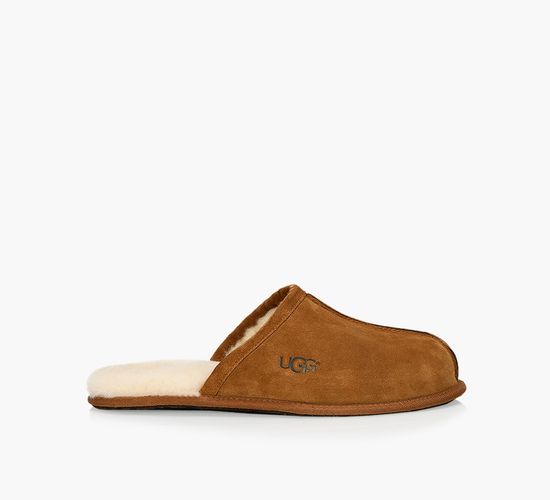 UGG for Men Browns Shoes
