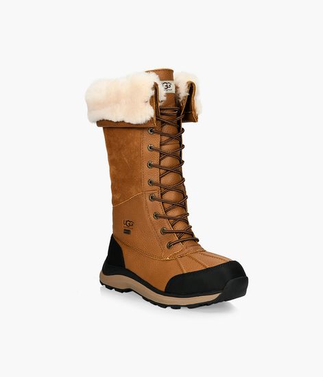 Tall Boots for Women | Browns Shoes